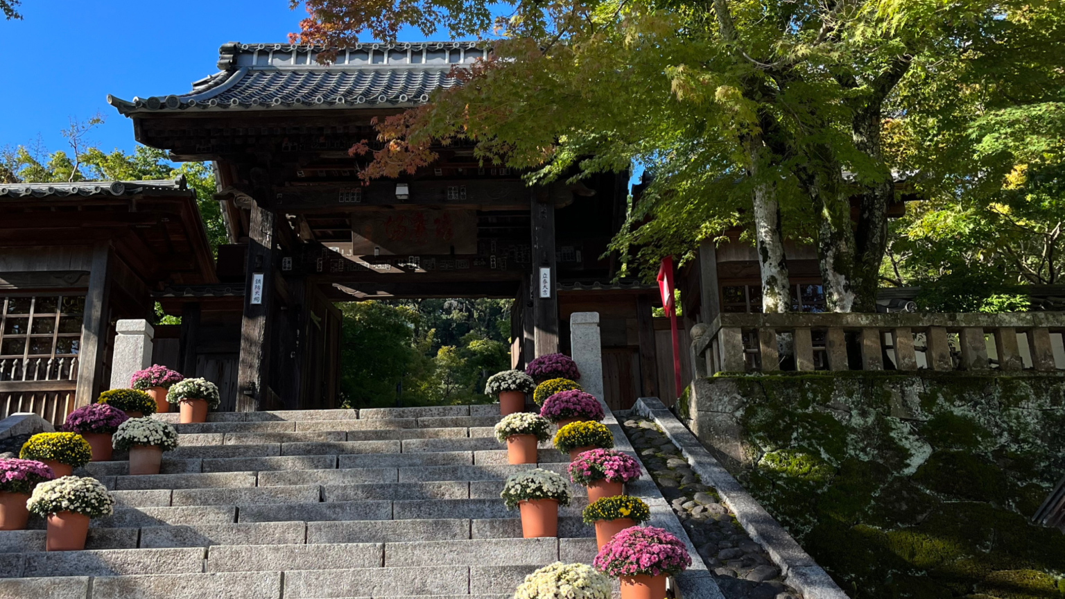 A Journey Through Early Spring on the Izu Peninsula - Mahalo nuiloa